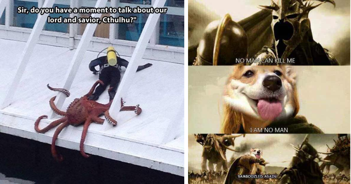 Sweet Saturday Sightseeing Over the Savanna of Silliness to Enjoy All ...