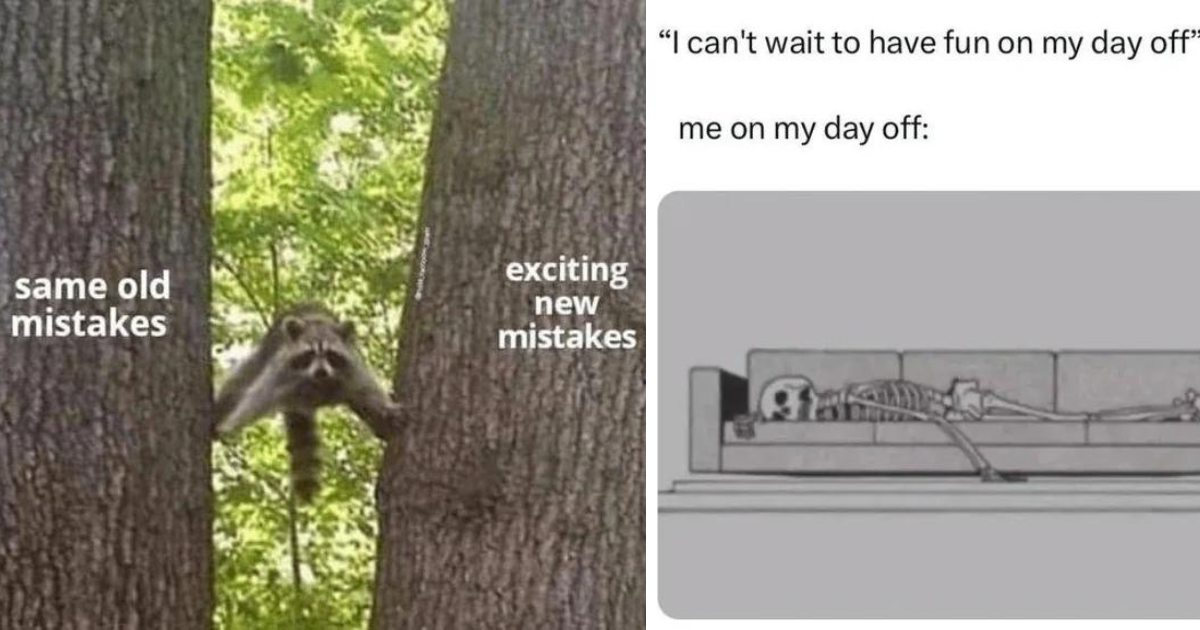 Why Am I Like This: 33 Relatable Posts About Not Being a Fully ...