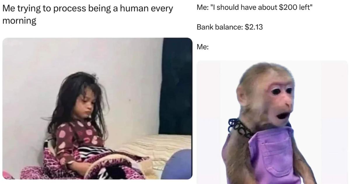 31 Memes for Eternal Outsiders Who Are Tired of Pretending to Be Normal ...
