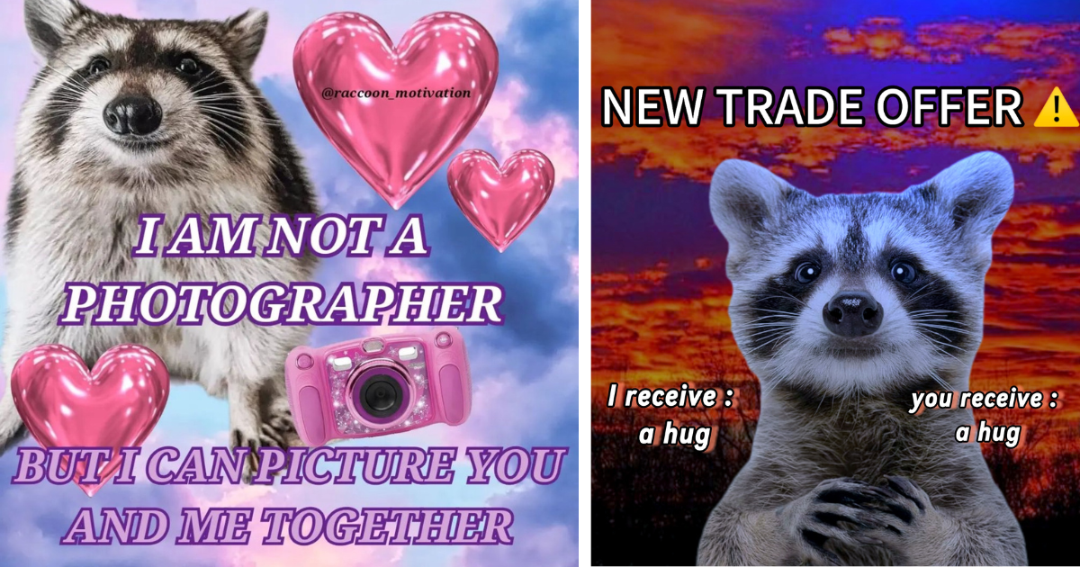 22 Romantic Raccoon Memes to Send to Your Trash Crush For Your Feral Love Story to Begin