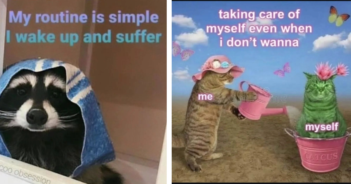 28 Expressive Animal Memes to Help Hoomans Having a Hard Time Making ...