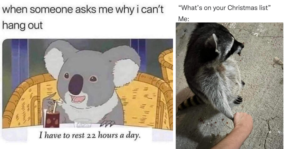 Wild Herd of Hilarious Animal Memes to Unleash Nature's Silliest Posts ...