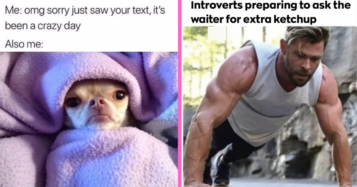 30 Introvert Memes That Accurately Depict the Desire to be Alone ...