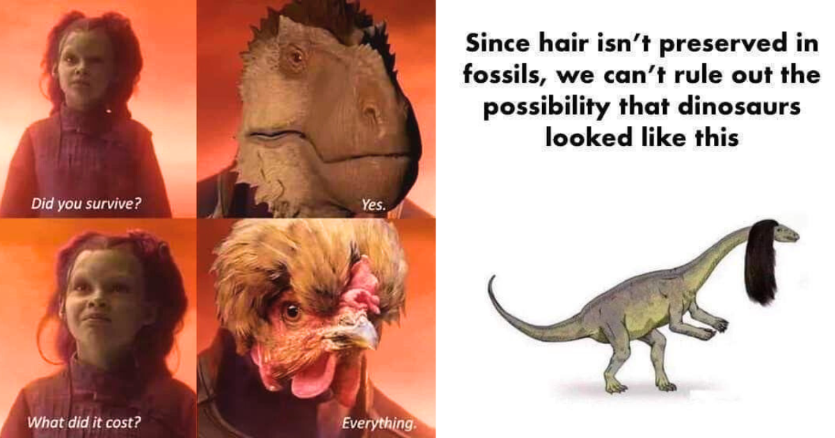 Velociraptor Yas Memes