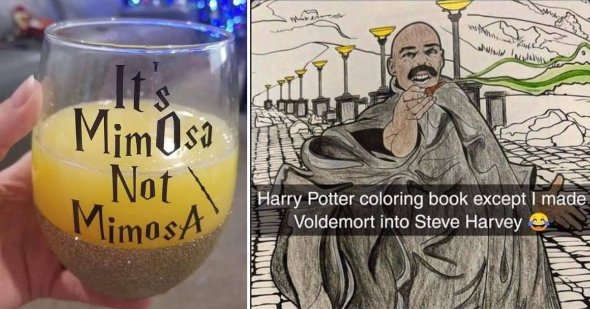 32 Harry Potter Memes for Young Wizards Who Love Quidditch - Geek ...