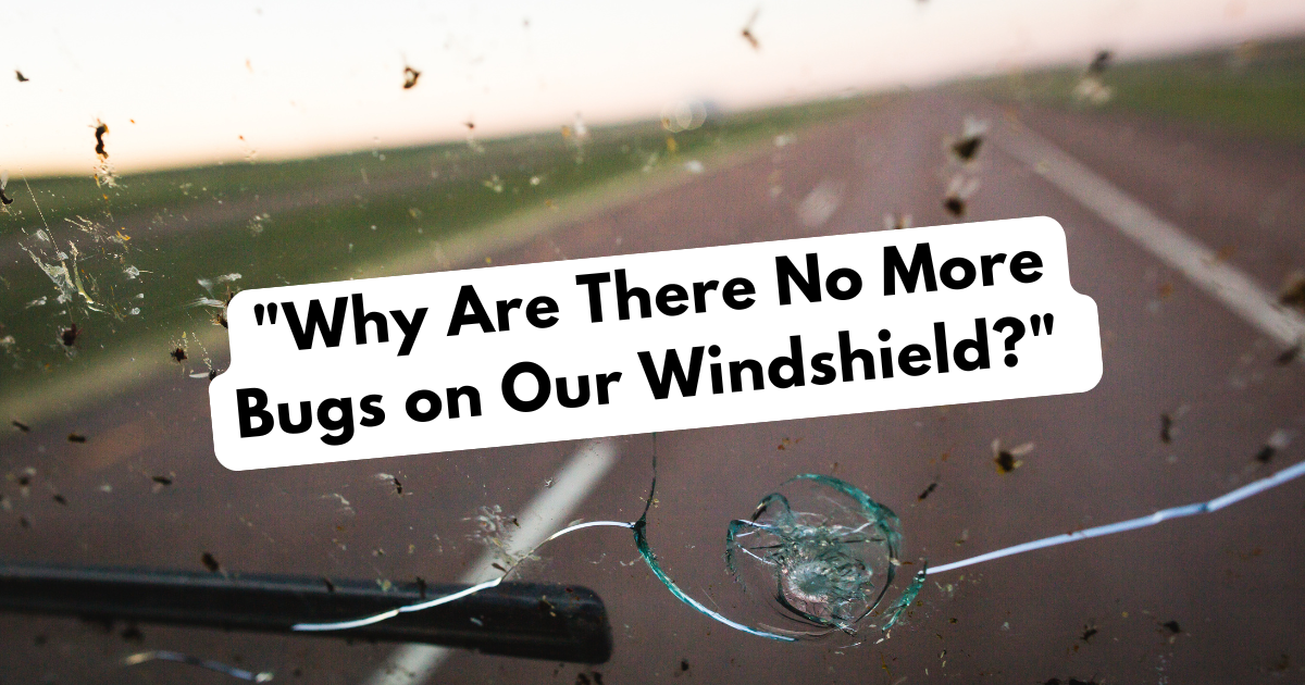 Gen X Reflects on Everyday Things That Have Mysteriously Disappeared ...