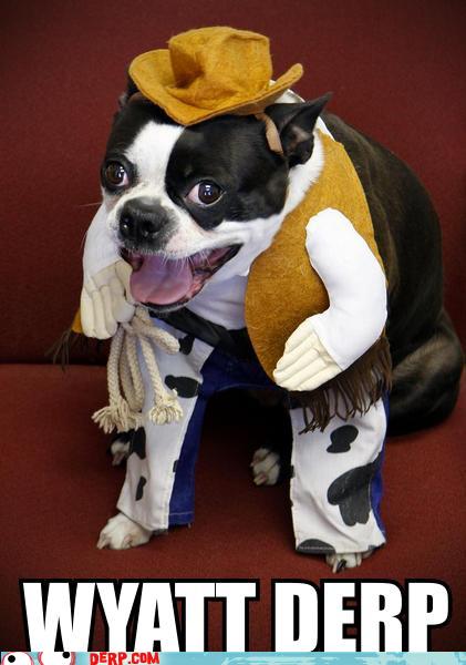 Derp - pet - Derp Face Derps - hurr durr derp face - derp - Cheezburger