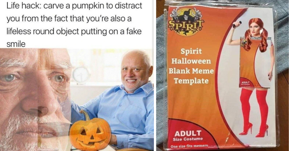 Trick or Treat Yourself to These 33 Spooky and Funny Halloween Memes ...