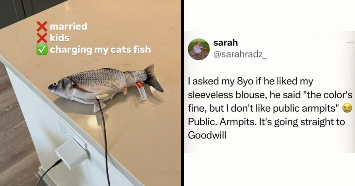 Mener Comeback Memes Greatest Comebacks Meme Guy | TikTok