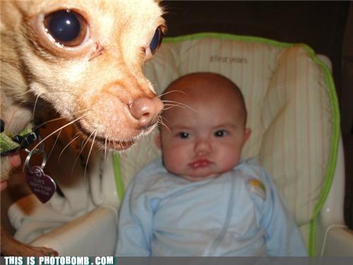 Photobombs - photobomb that guy