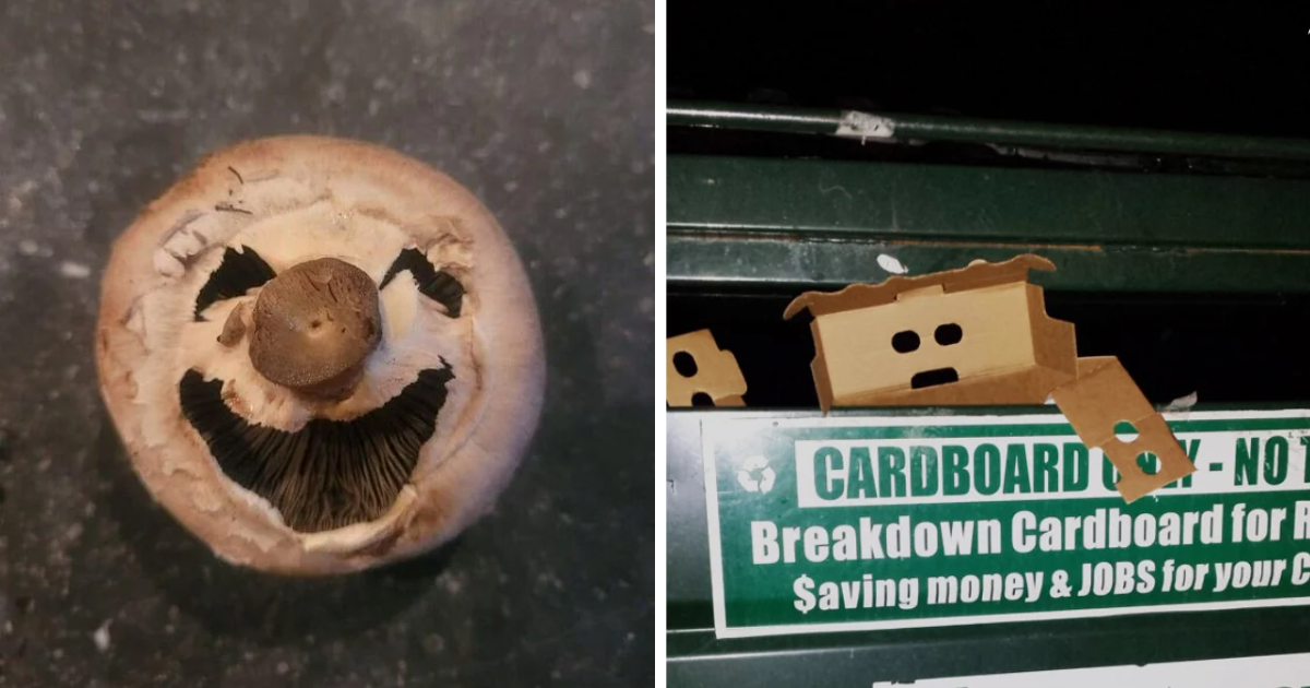 Faces in Places: 32 Startling Instances of Pareidolia - Geek Universe ...