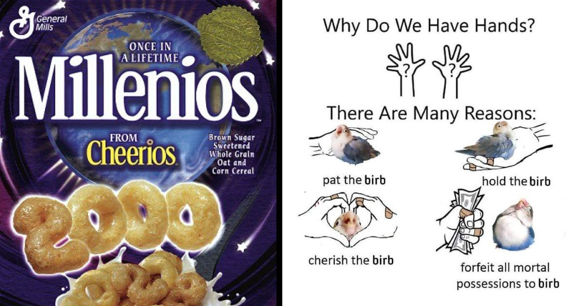 35+ Quirked Up Memes For Reformed Quirky Millennials - Memebase - Funny ...