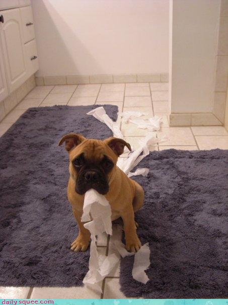 Daily Squee - Cute Animals - Cute Baby Animals - Cute Animal Pictures ...