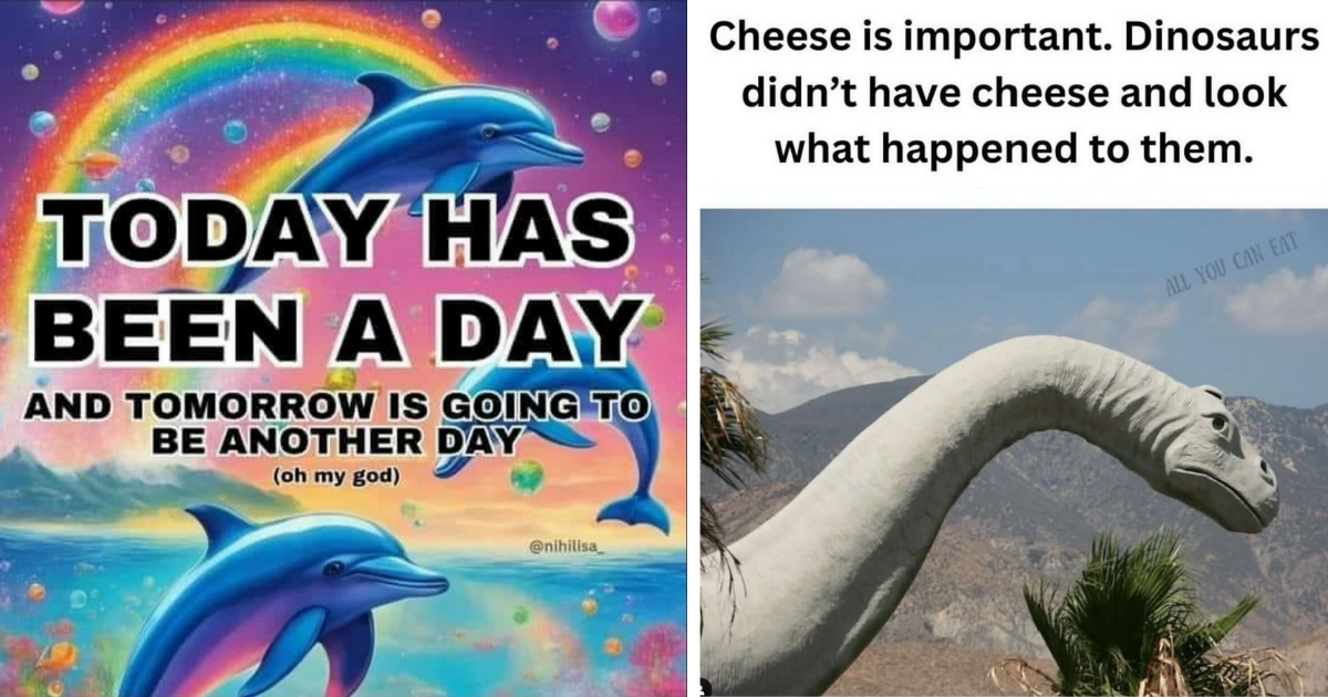 You Llama Hear a Joke? 26 Hilarious Memes to Set Free Your Funniest ...