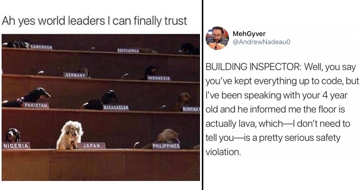 A Good All-Rounder of 31 Memes - Memebase - Funny Memes