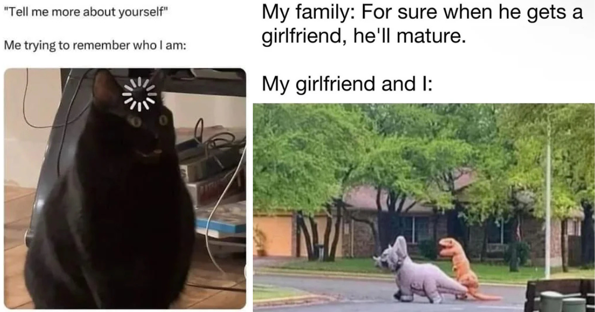 Why Am I Like This: 31 Relatable Posts About Not Being a Fully ...