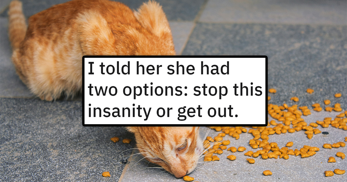 Sister Refuses to Stop Feeding Her Brother’s Cat Vegan Food, He Gives ...