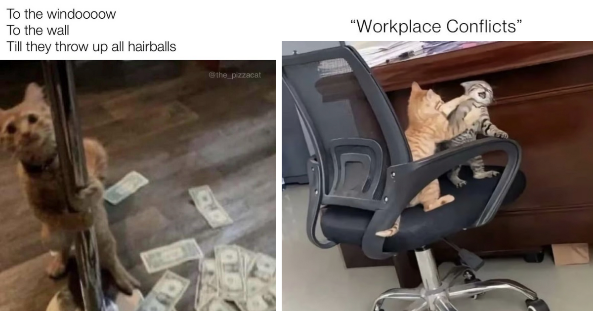 25 Ferociously Funny Felines in the Form of Digital Delights Chosen by ...