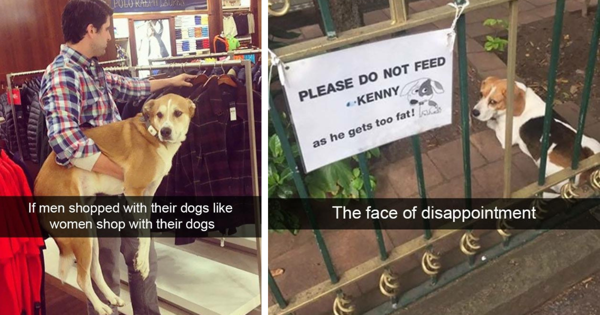 26 Wooftastic Dog Snaps to Unleash Unconditional Canine Cuteness and ...