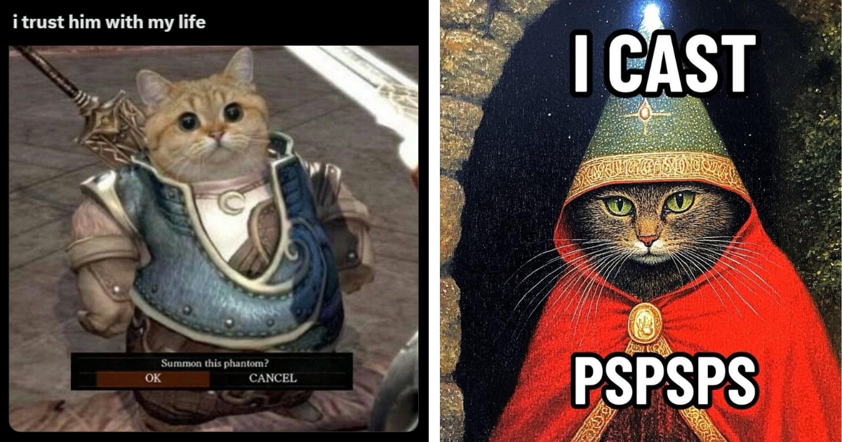 25 Fantasy Feline Memes Rolling 20 on Casting Cat Cuteness That Gives ...