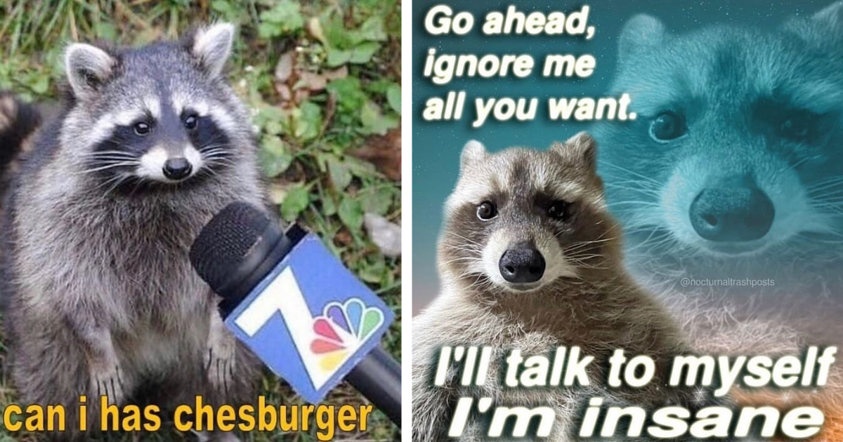 Feckless Fall Frenzy: 25 Memes of Foolish Feral Foragers Fantastically ...