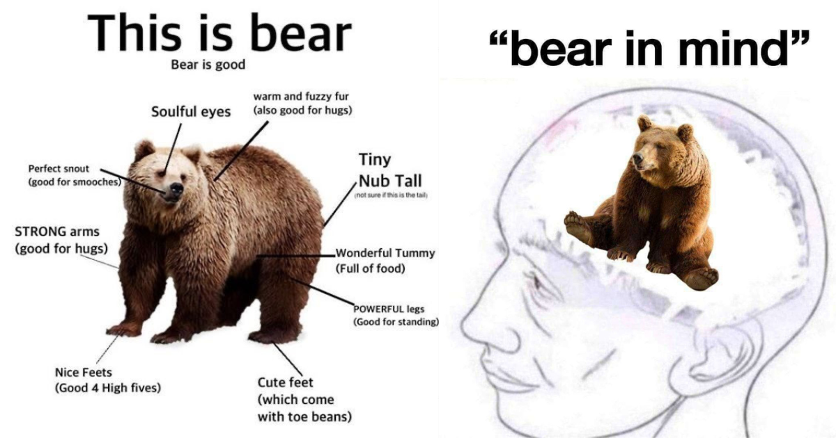 24 Burly Bear Memes Bringing the Best Bear-Hug Vibes to Your Huggable ...