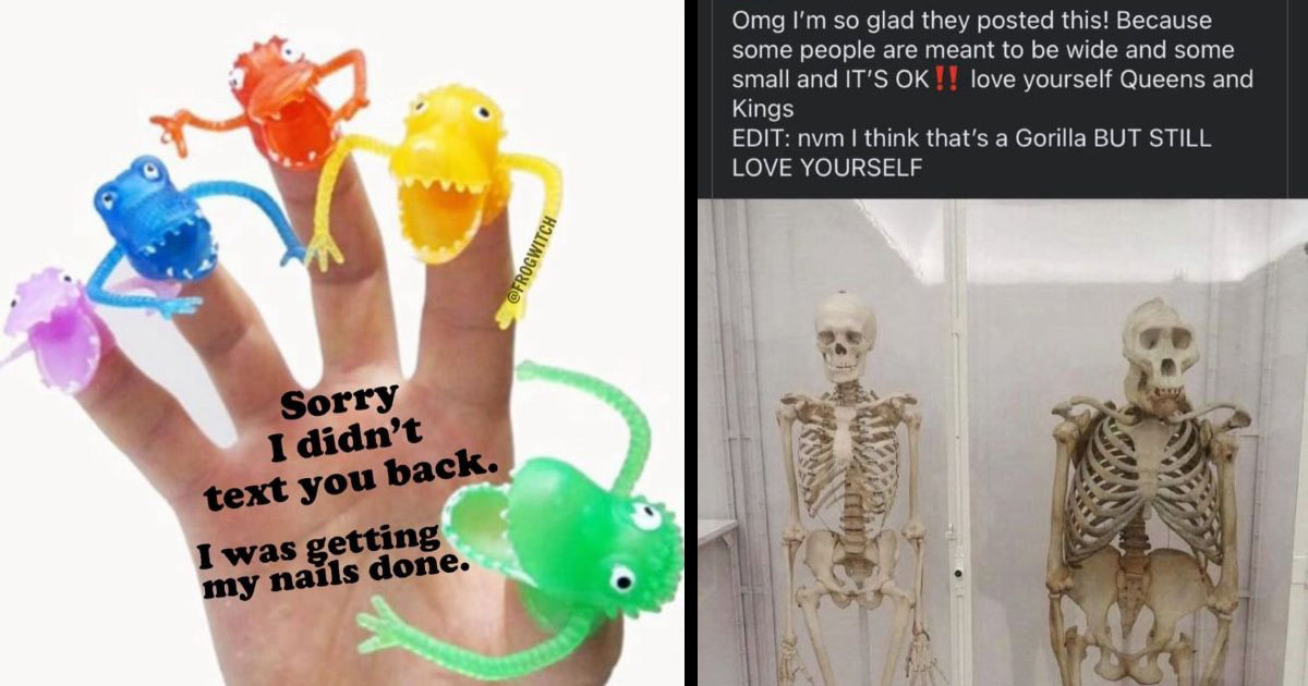 25 Memes With No Apparent Rhyme or Reason - Memebase - Funny Memes