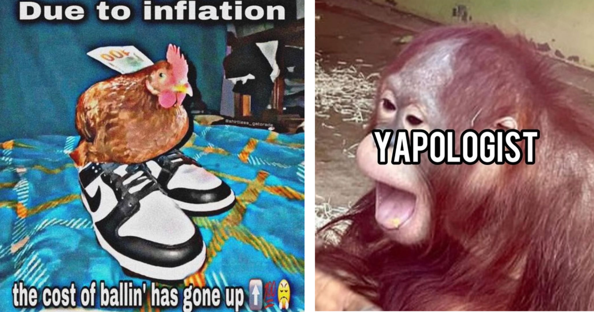 26 Random Animal Memes to Help You Disassociate from Society So You Can ...