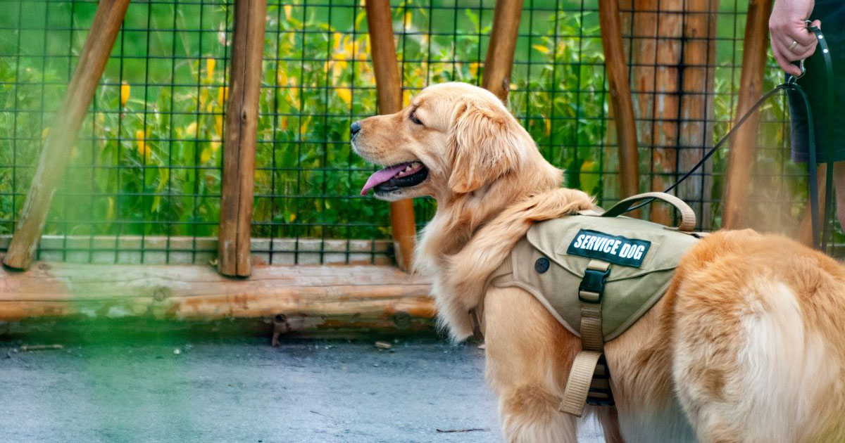 Memebase - trained - All Your Memes In Our Base - Funny Memes - Cheezburger