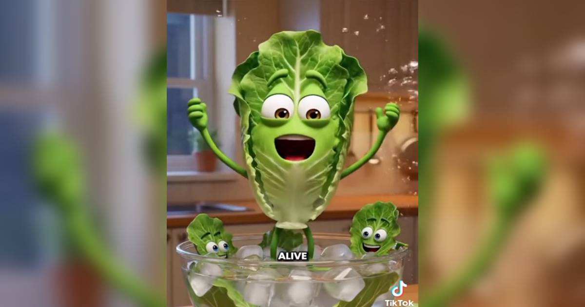 'Wrap me fast!': Why yelling AI food videos are public service slop ...