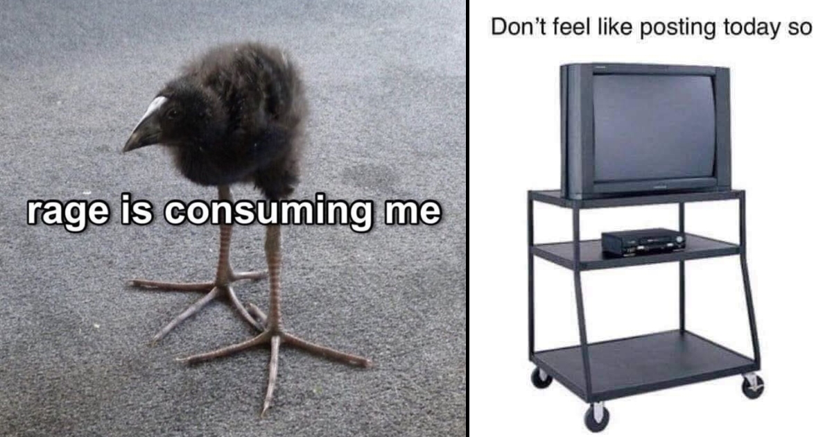 33 Memes That Are Hanging On In There - Memebase - Funny Memes