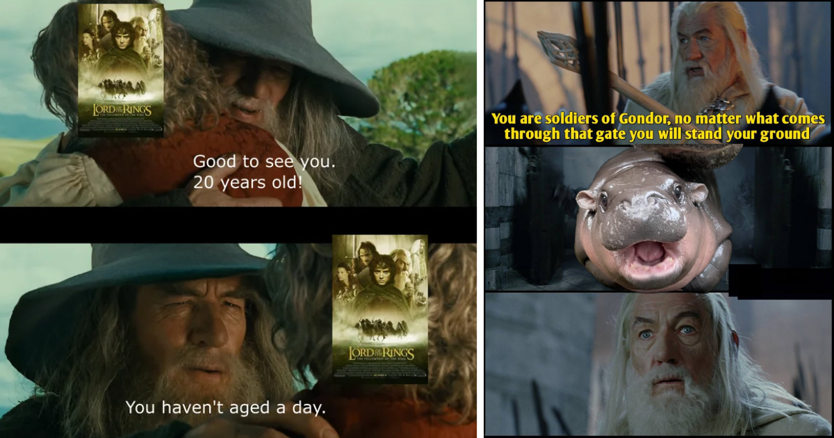 33 Lord of the Rings Memes That Were Forged in the Fires of Mount Doom ...