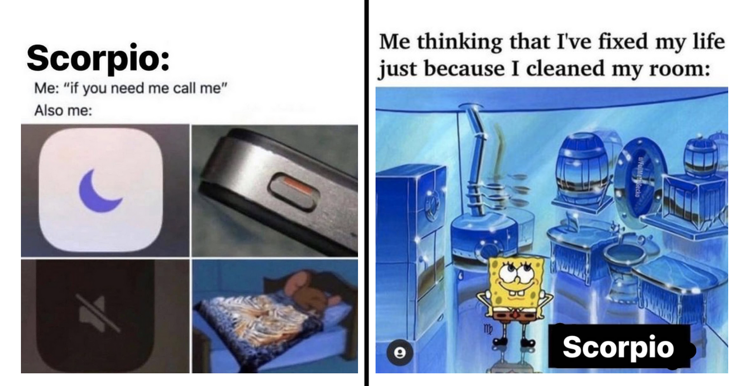 29 Sassy Scorpio Memes For When You're Deep Into Your Horoscope Season ...