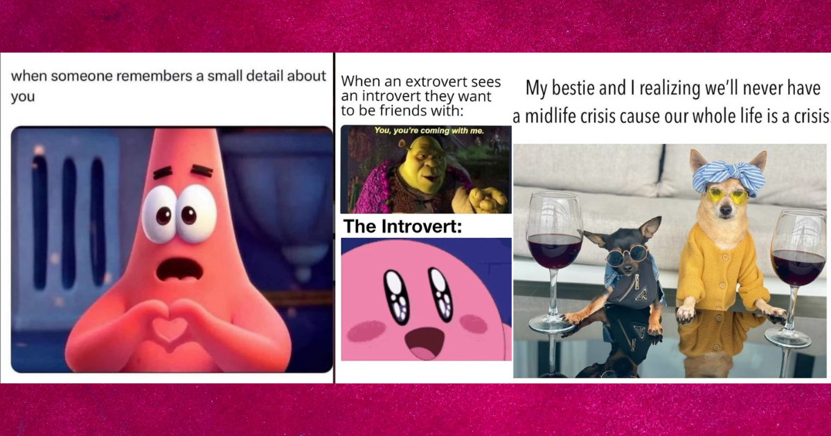 25 Memes for the Introspective Introvert Girlie Who Secretly Loves ...