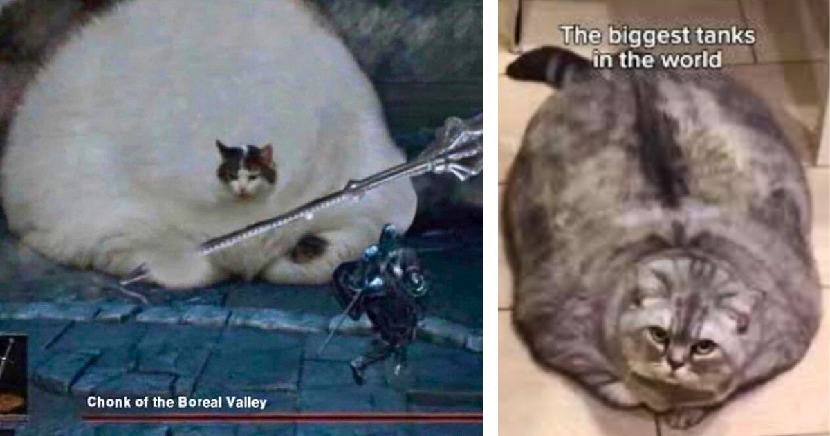 Oh Lawd They Comin': 21 Absolute Unit Memes Full to the Brim With ...