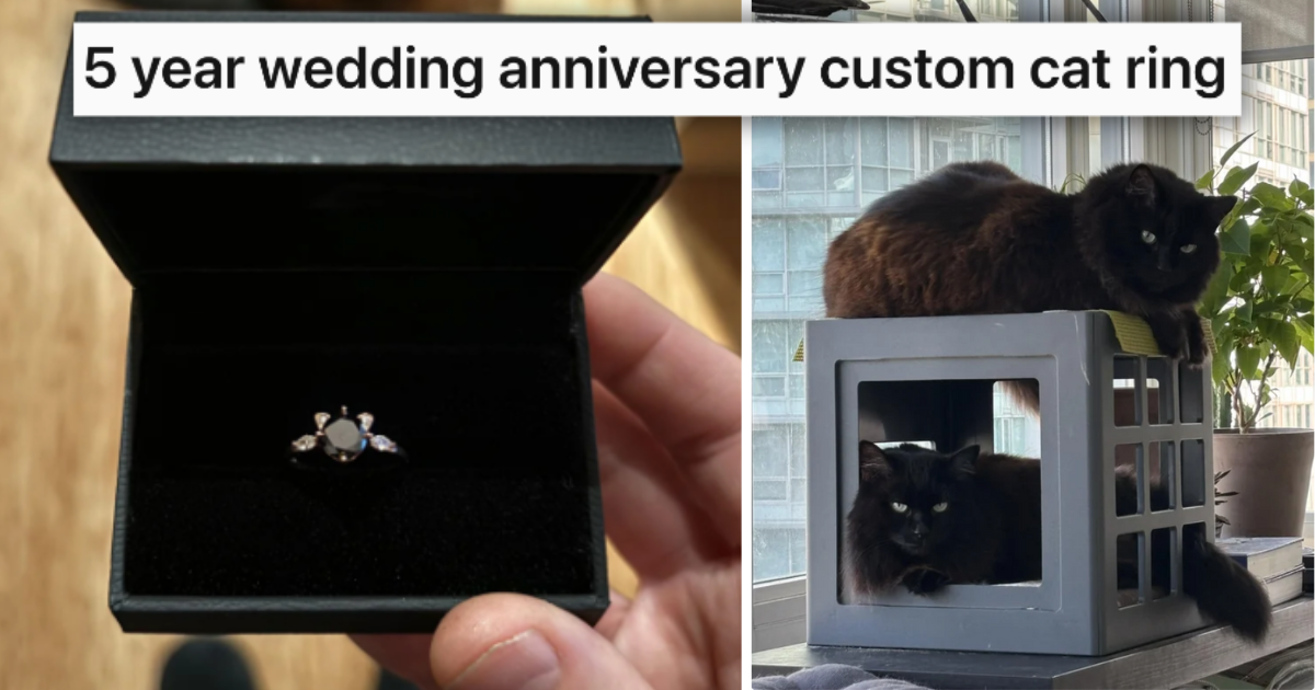 Wholesome Husband Buys Unique Cat-Shaped Anniversary Ring For His ...
