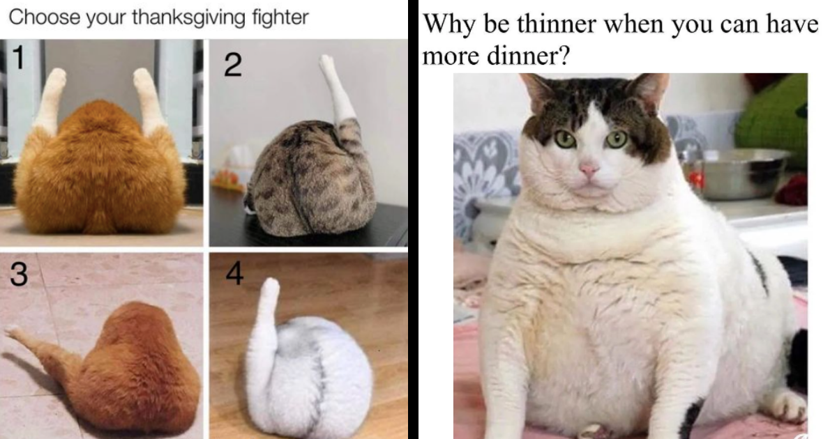 Fat Turkey Memes