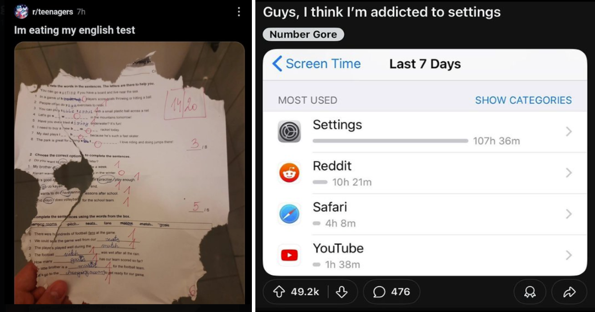 The Funniest Reddit Posts of the Week (November 15, 2024) - Memebase ...