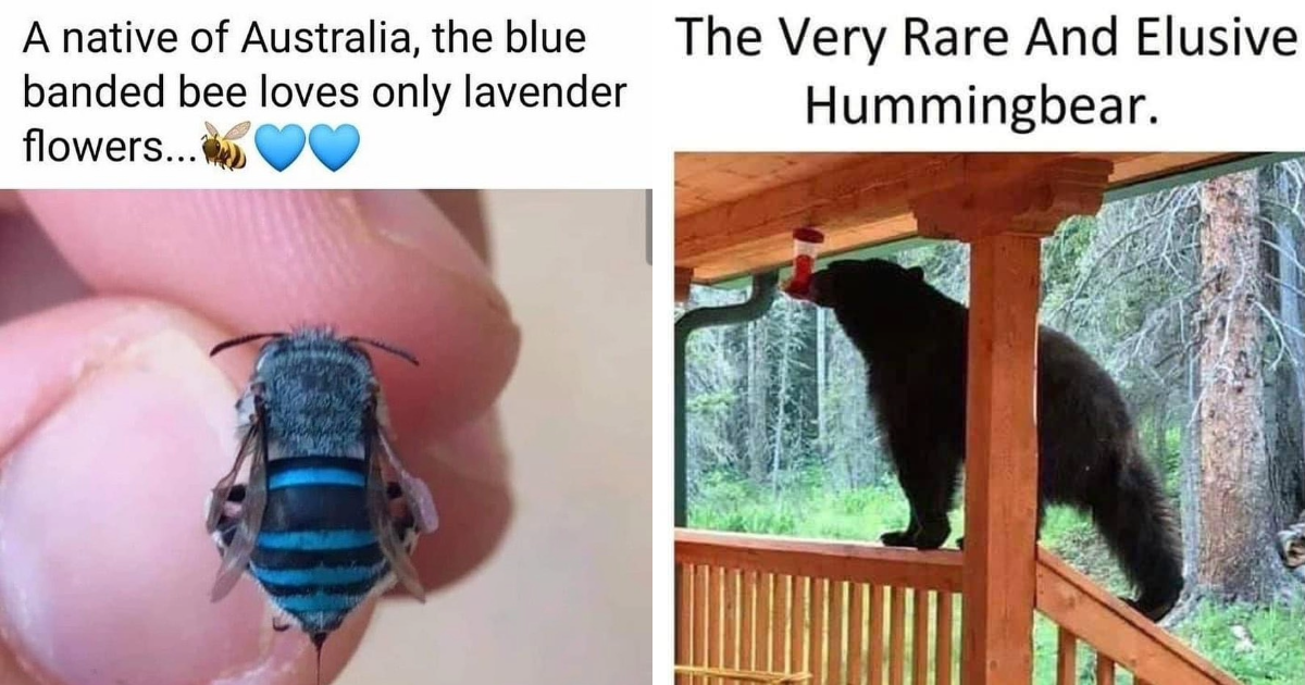 25 Warm Nibbles of Cute Critter Content to Warm the Hearts of Green ...