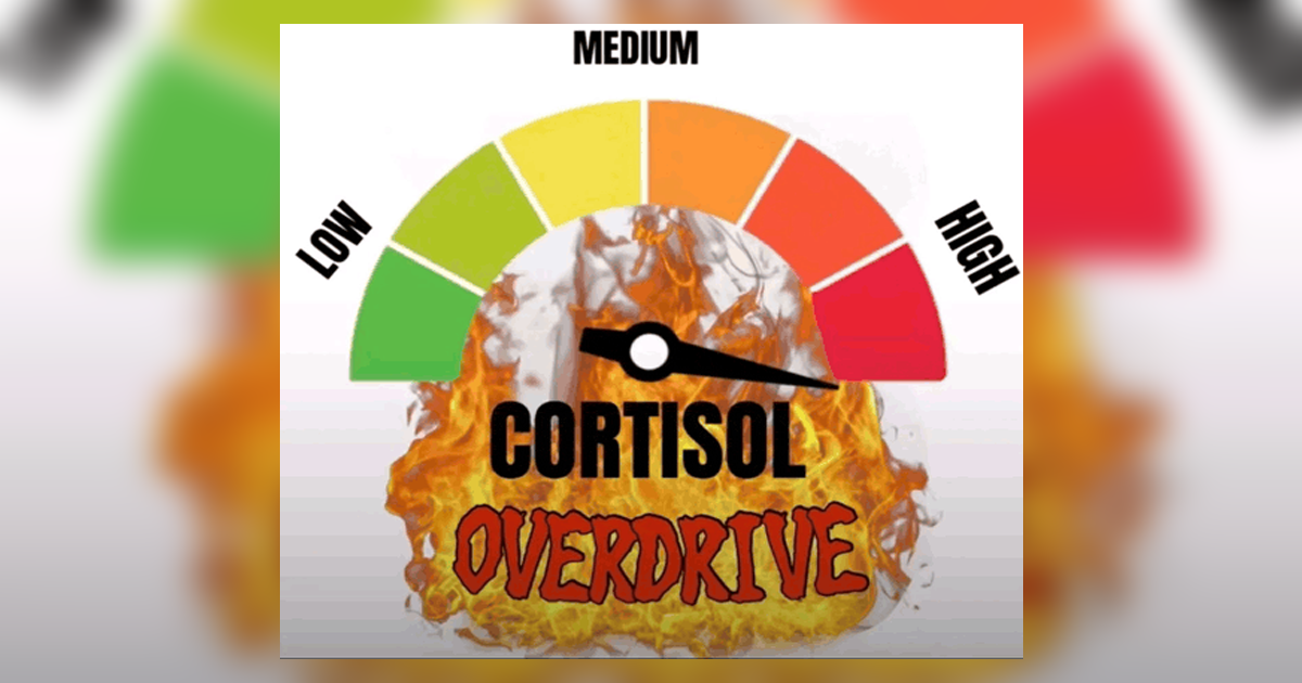 'Holy cortisol spike': How cortisol became the meme hormone - Memebase ...