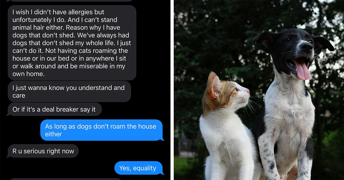 I Can Has Cheezburger? - dogs - Funny Animals Online - Cheezburger