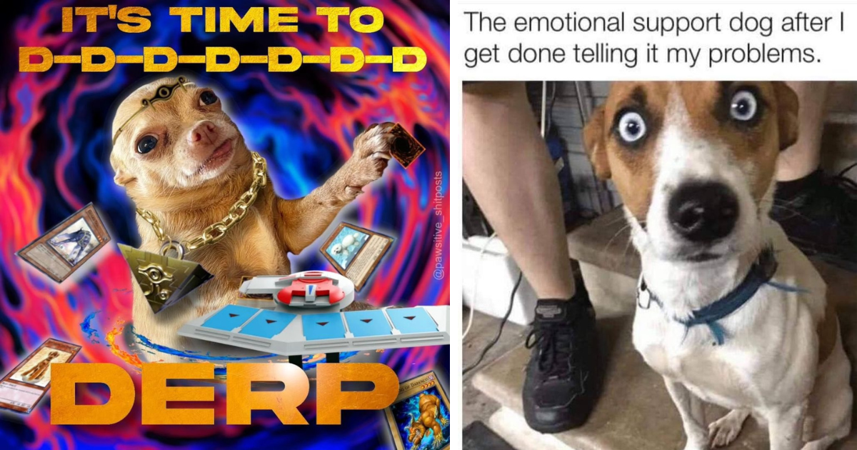 Party Playlist of 22 Dog Memes Dancing to a Remix of Borks and Woofs ...