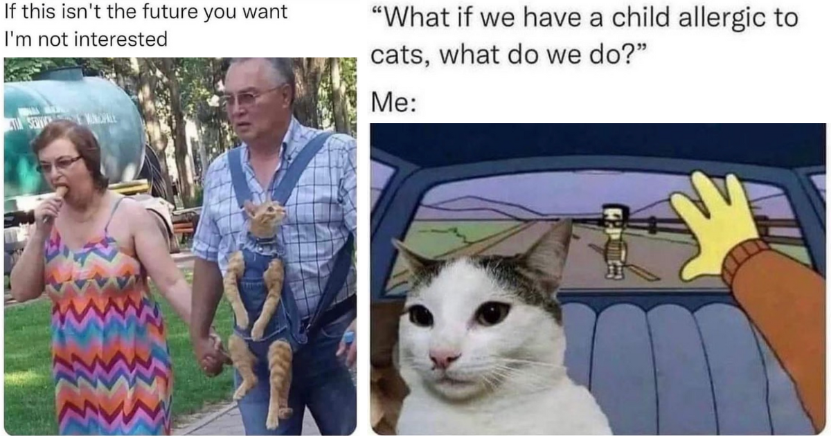 27 Purrfectly Simple Memes Showing the Secret to Meowternal Happiness ...