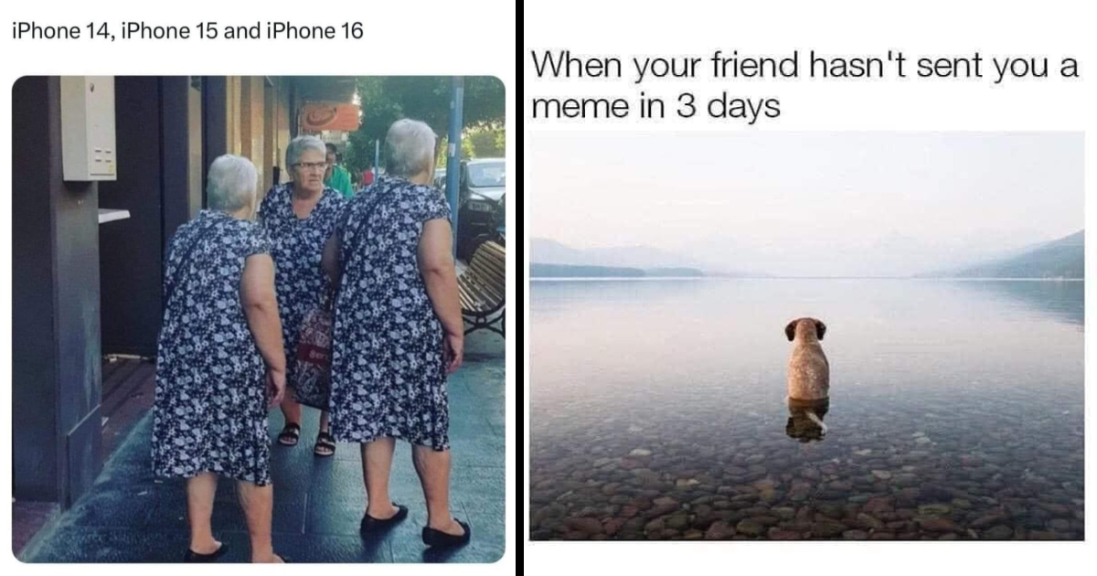 30 Memes That Are Right Where They Need to Be - Memebase - Funny Memes