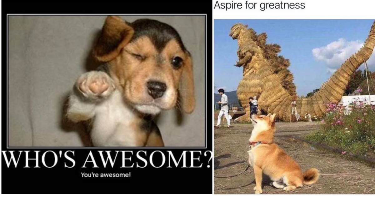 Whos Awesome Youre Awesome Meme