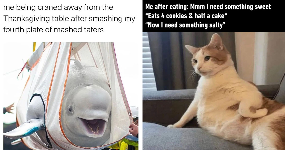 Memebase - eating too much - All Your Memes In Our Base - Funny Memes ...