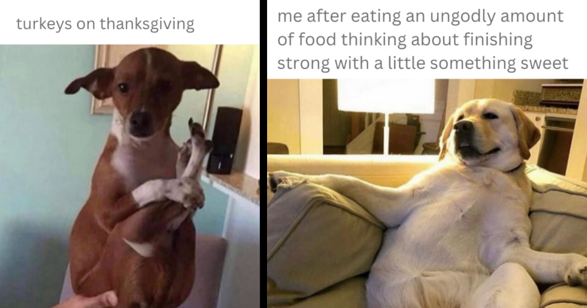 A Turkey Dinner Stuffed With 27 Dog Memes for Pet Parents Grateful for ...