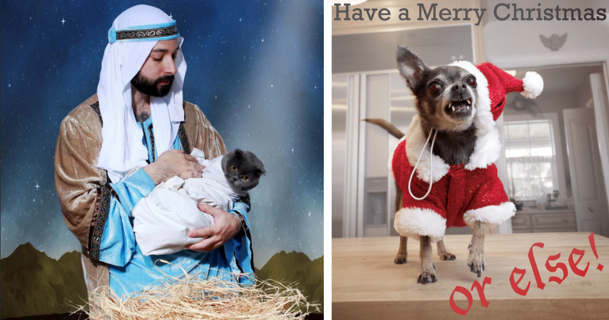 'Tis the Season to Get Silly: 26 Funniest Festive Christmas Cards ...