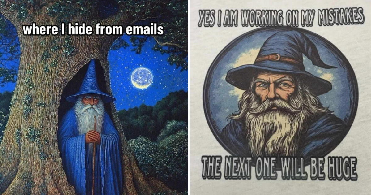 38 Unhinged Wizard Memes That Get Progressively Weird as You Read On ...