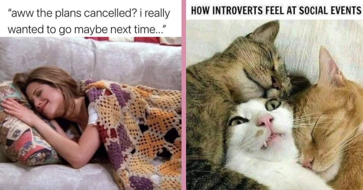 29 Introvert Memes That Accurately Depict the Desire to be Alone ...